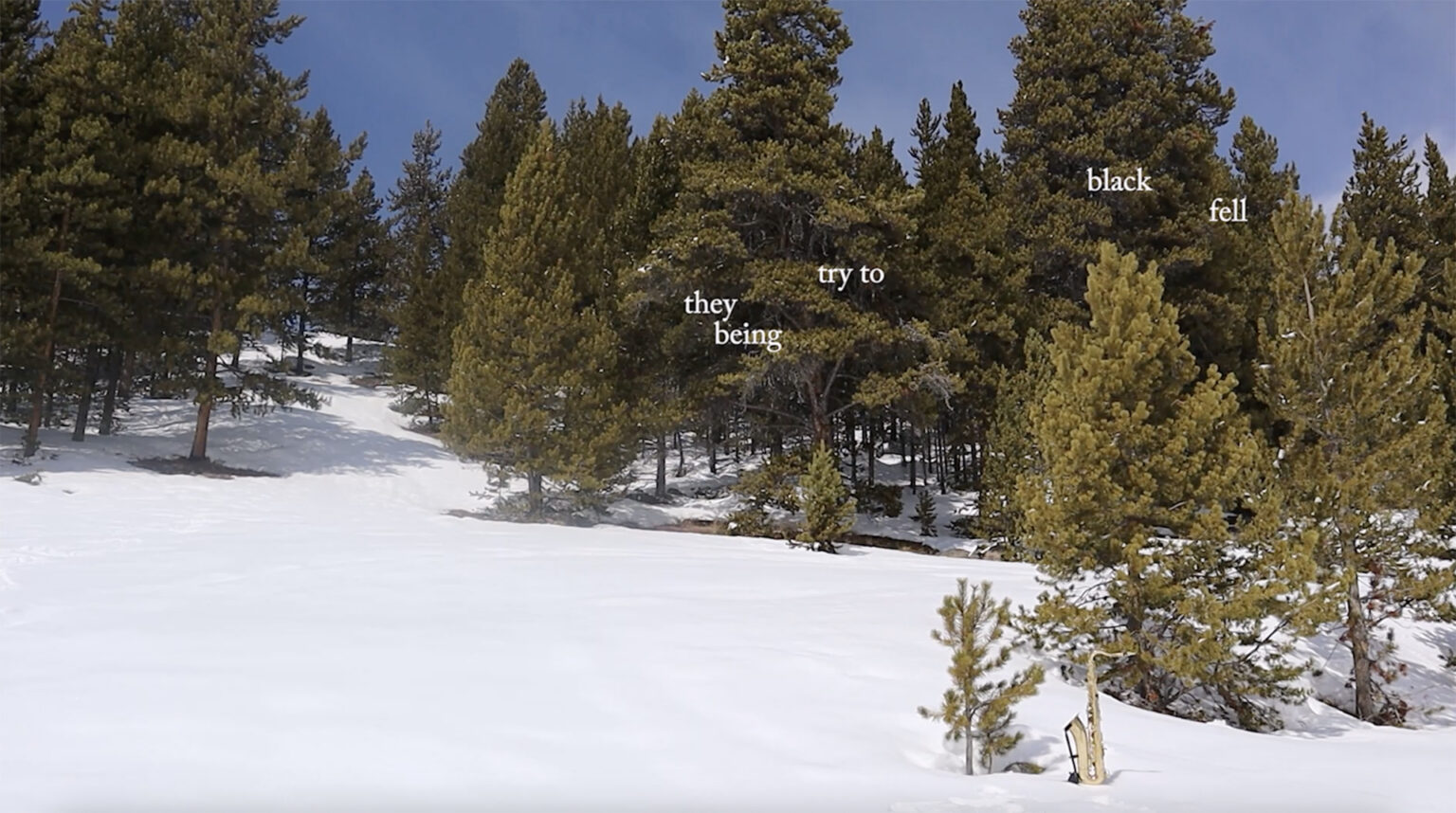 Chrysler Museum of Art